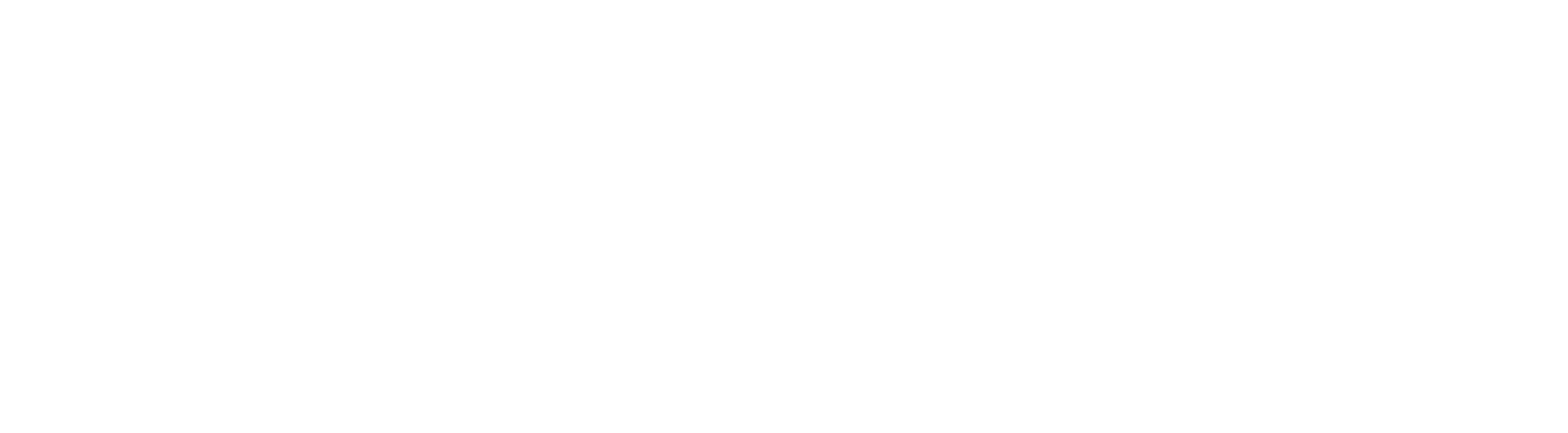 Momentum Software Solutions | Taking your business to the next level.